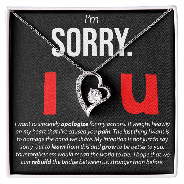 Buy Best I am Sorry Apology Gifts for Wife/Girlfriend – Fabunora